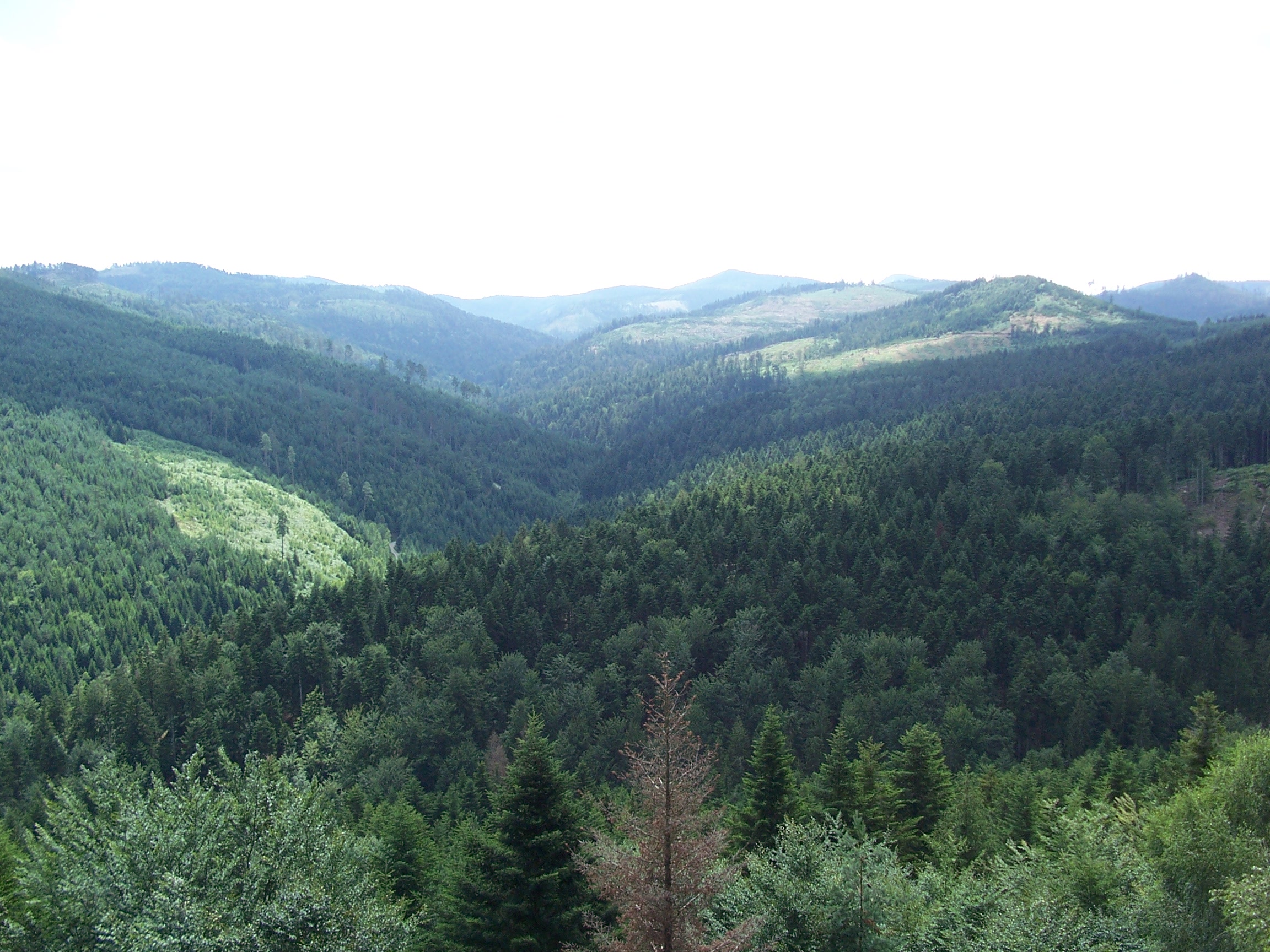 Les animations nature - Réserve de Biosphère de Moselle Sud